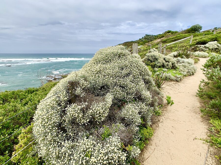 Mornington Peninsula coastal walking track Fowlers Beach