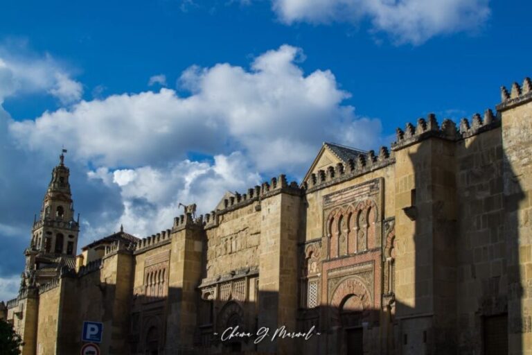 Mosque-Cathedral of Cordoba: Entry Ticket and Guided Tour - Why This Tour Is Worth Considering