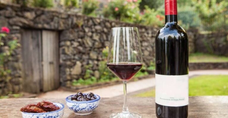 Mount Etna: Winery Tour and Tasting - What You Should Know Before Booking
