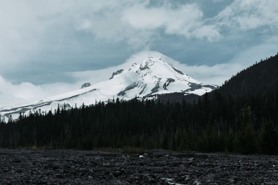 Mount Hood snow-capped with evergreen forest