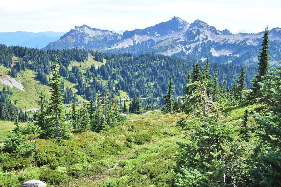 View from Skyline Trail at Mount Rainier with Tatoosh Range