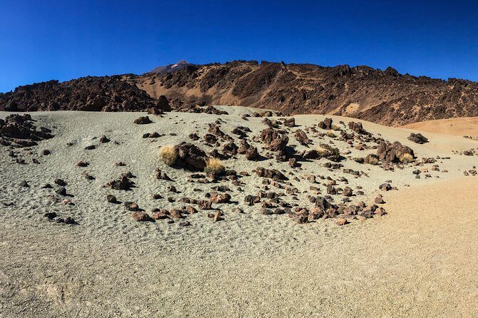 Mount Teide and Tenerife North with Food & Wine Tasting Private Tour - Exploring Mount Teide National Park: The Island’s Crown Jewel