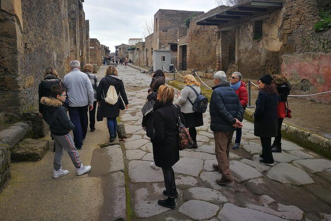 Mount Vesuvius Shore Tour, Pompeii & Winery Vesuvius Winery - Who Would Love This Tour?