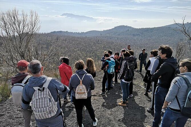Mount Vesuvius tour by bus and ticket included from Ercolano - The Sum Up