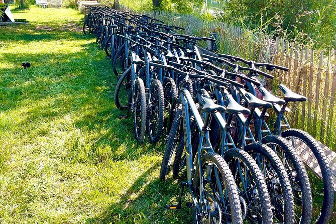 Mountain bike rental in Camargue - Authentic Experiences and Highlights