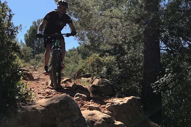 Mountain Bike Tour Font de la Mata - What Makes This Tour Stand Out?