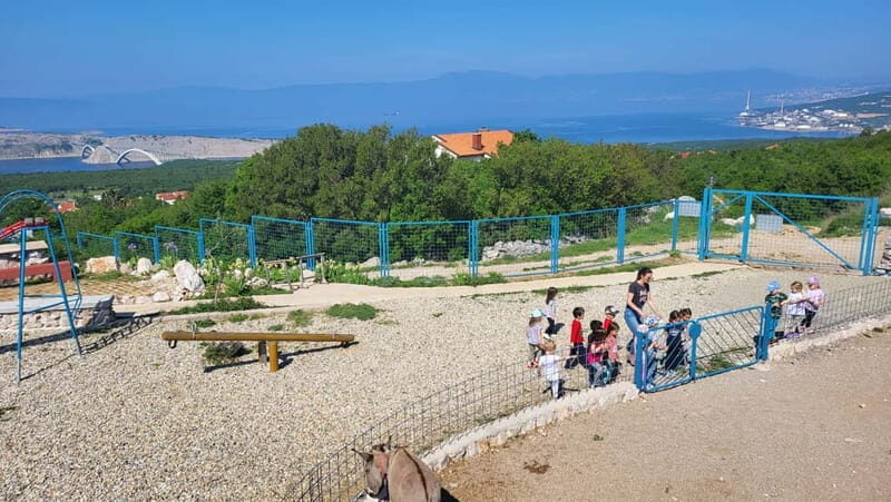 mrika (near Rijeka/Krk/Crikvenica) Donkey Farm Family Fun - Why This Experience Is Worth It