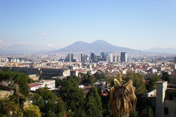 Mt Vesuvius Half-Day Trip from Naples - Practical Tips for Travelers