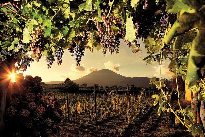 Mt. Vesuvius Wine Tasting and Lunch Experience from Pompeii - Exploring the Itinerary