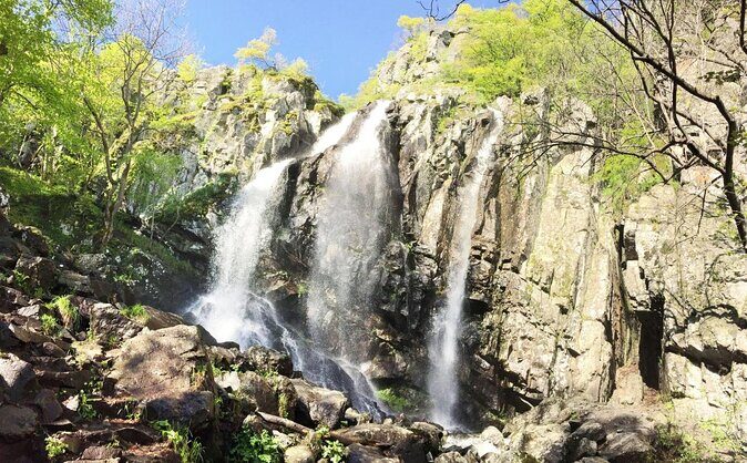 Mt. Vitosha and Boyana Waterfall Hiking Tour from Sofia - The Descent and Boyana Waterfall