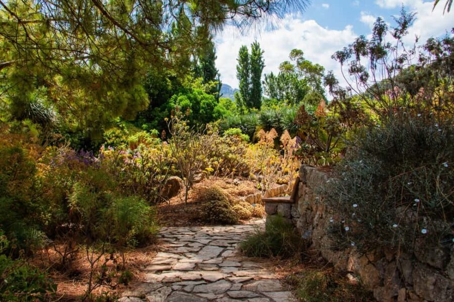 MUCBO | Sóller Botanical Garden - Balearic Museum of Natural Sciences - The Authenticity and Value