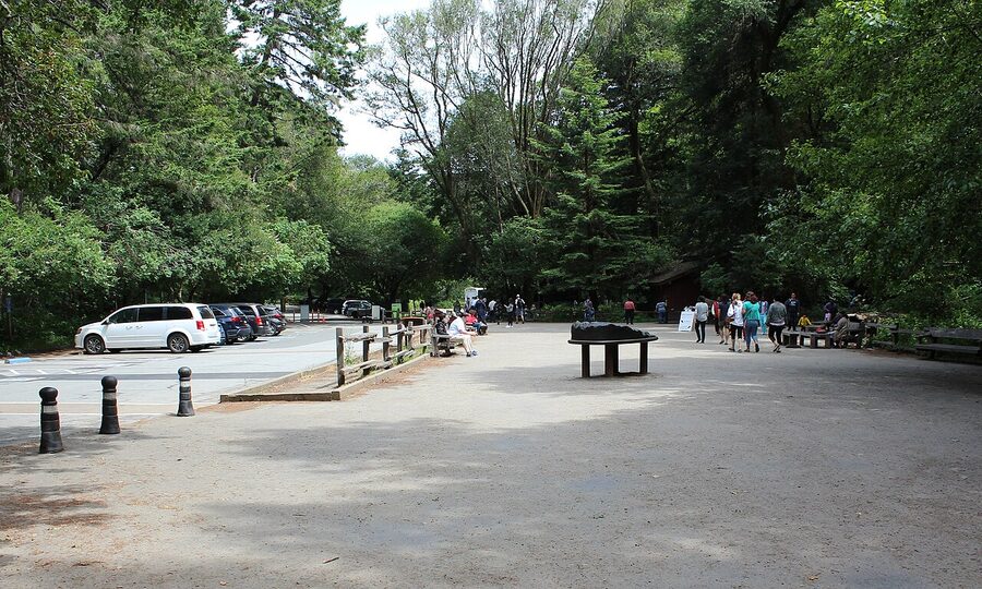 Muir Woods National Monument main trail through old-growth redwoods