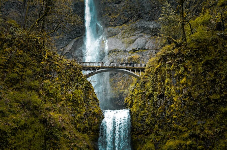 Multnomah Falls iconic bridge with lush green surroundings