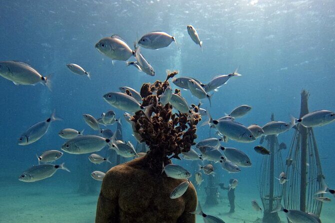 Musan Scuba Diving Private Adventure - What to Expect from the Experience