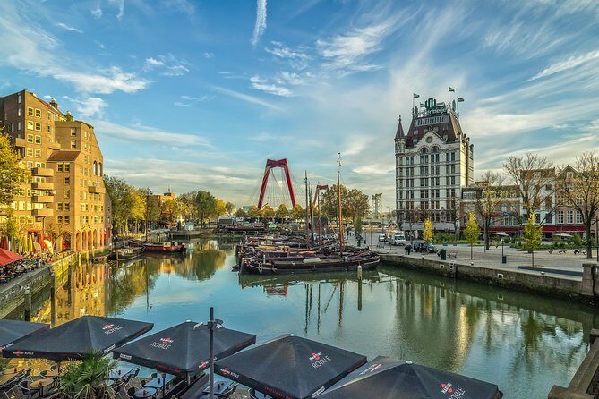 MUST DO: Rotterdam highlights & history with a local guide - The Value and Experience: Breaking Down Why This Tour is Worth It