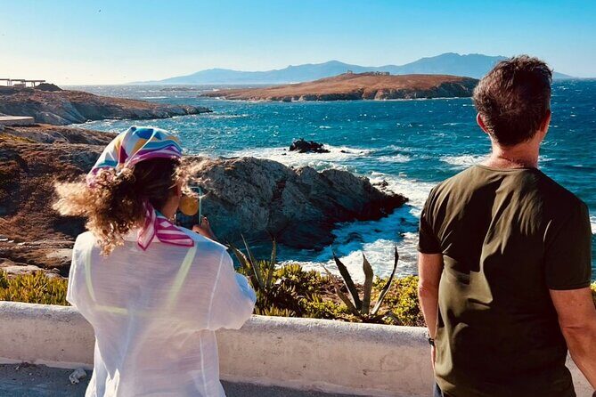 Mykonos Half-Day Highlights Tour: Beaches, Town & Culture - What Travelers Love and What to Consider