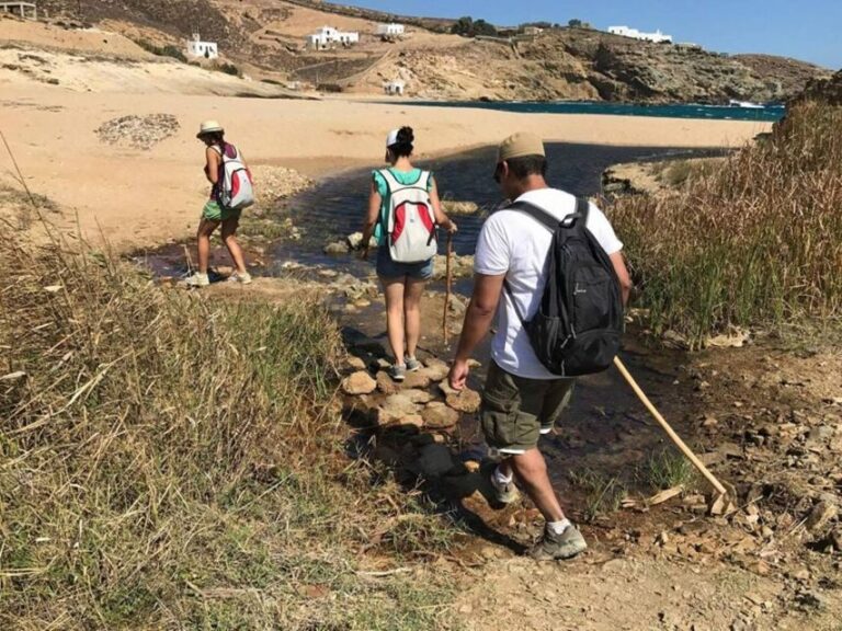 Mykonos Hiking Adventure - What You Can Expect Throughout the Experience