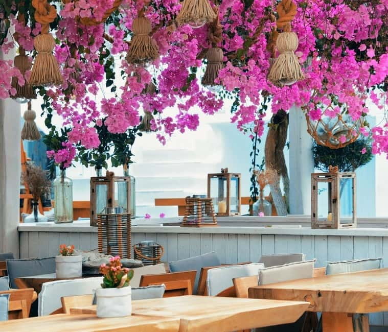 Mykonos: Private Island Tour with Transfers and Greek Meal - What Sets This Tour Apart?