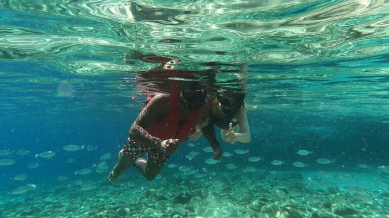 Mykonos: Secluded Bays Sea Kayaking Tour with GoPro Photos - Taste of Greece: Wild Herbs and Local Snacks