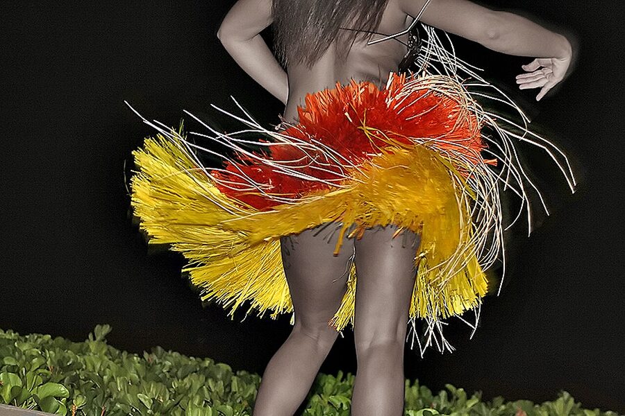 Hula dancer performing a solo auana piece