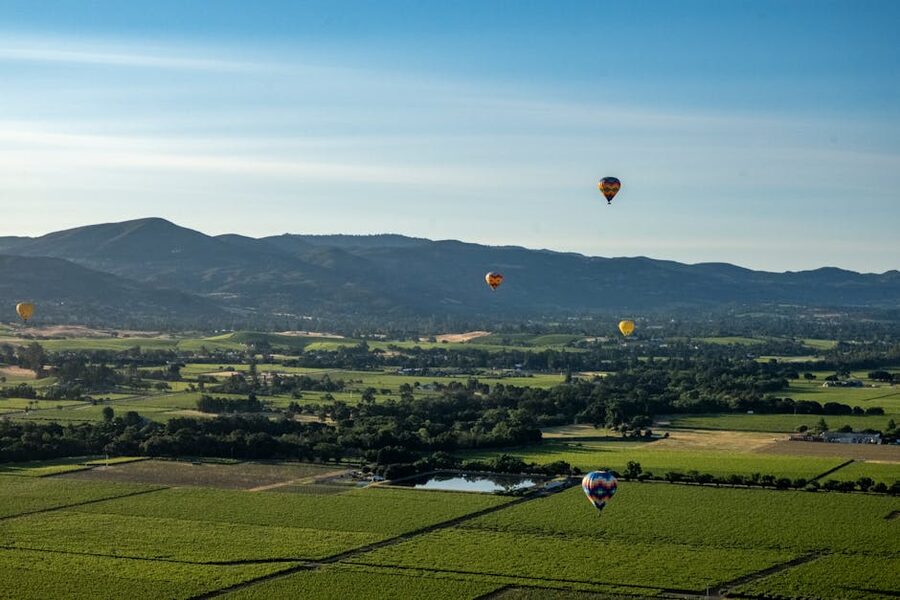 Hot air balloons over Napa Valley vineyards at sunrise
