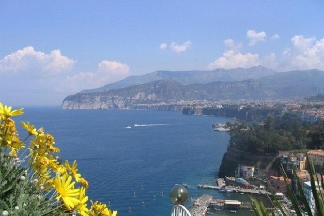 Naples, Pompeii and Sorrento full day tour from Naples - Frequently Asked Questions