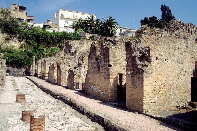 Naples: Pompeii, Herculaneum, and Vesuvius Tour by Minivan - Transportation and Logistics: Comfort and Timing