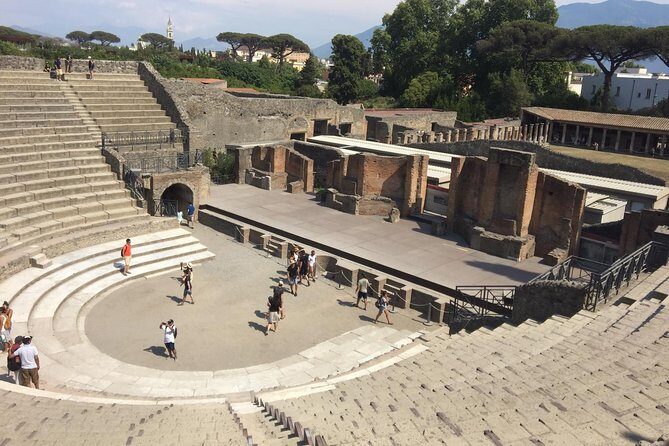 Naples Shore Excursion: Pompeii Independent Half-Day Trip - Value for Money