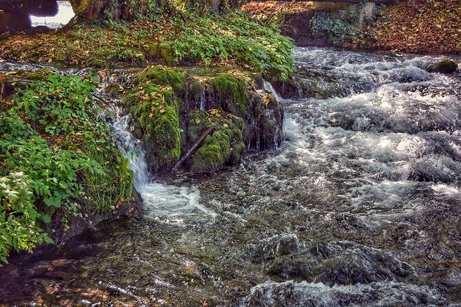 National park Tara - private day tour - Real Traveler Insights