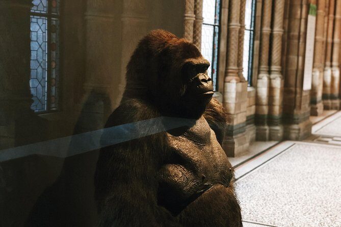 Natural History Museum London Guided Tour Semi-Private 8ppl Max - The Value of Expert Guidance