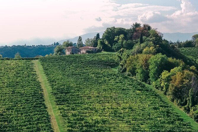 Natural Wine Tasting in the heart of the Prosecco Hills - The Sum Up