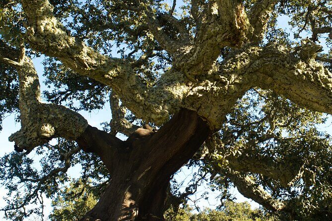 nature and wildlife - In-Depth: What You Can Expect from the Tour