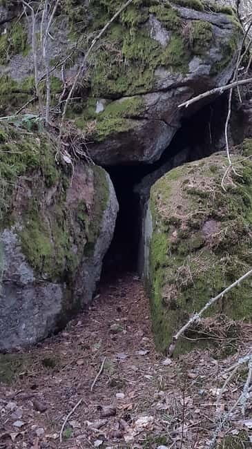 Nature Hike from Stockholm - What Makes This Tour Special?