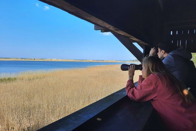 Nature Walk and Wildlife Tour in Sobieszewo Island - Who Should Consider This?