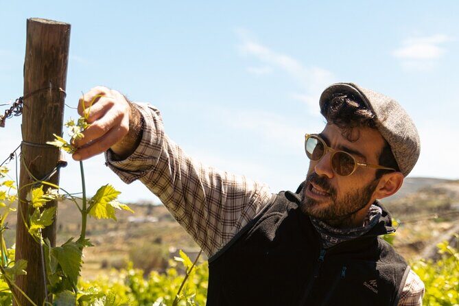 Naxos Private / Semi Private E-Bike Guided Tour Inland Methexis - Practical Details: What You Need to Know