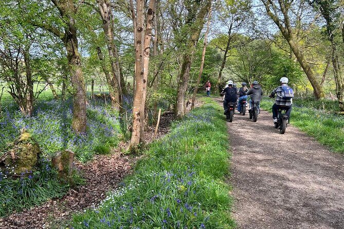 New Forest E-Bike Adventure - FAQ