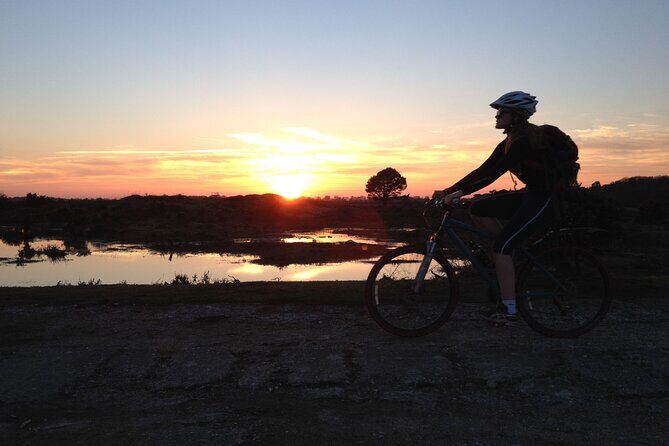 New Forest Sunset Bike Rides - Practical Details to Keep in Mind