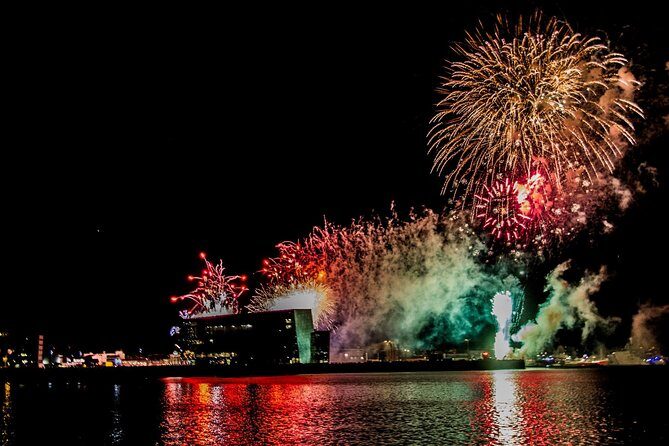 New Year's Eve Fireworks Cruise in Reykjavik - Practical Tips for Travelers