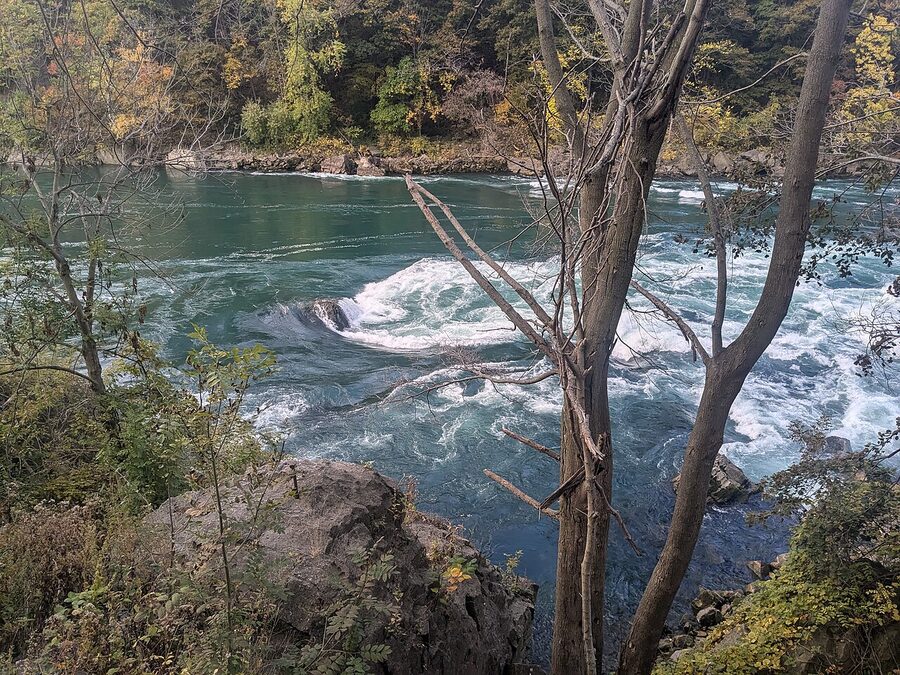 Niagara River from Niagara Falls State Park