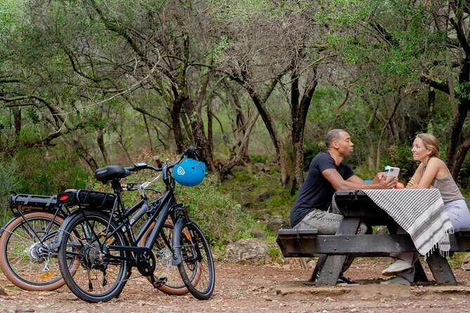 Nice Electric Bike Rental - Practical Details and What You Need to Know