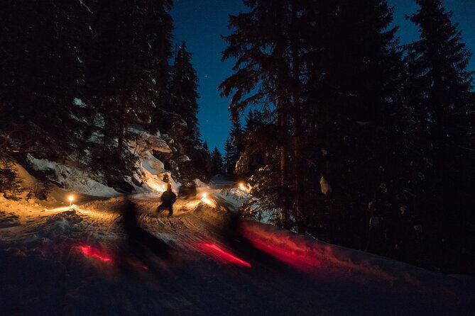 Night Sledding from Interlaken - Safety and Preparedness