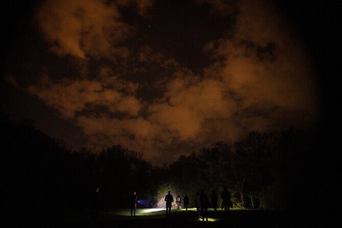 Night Tour in Hoia Baciu Forest - The Sum Up