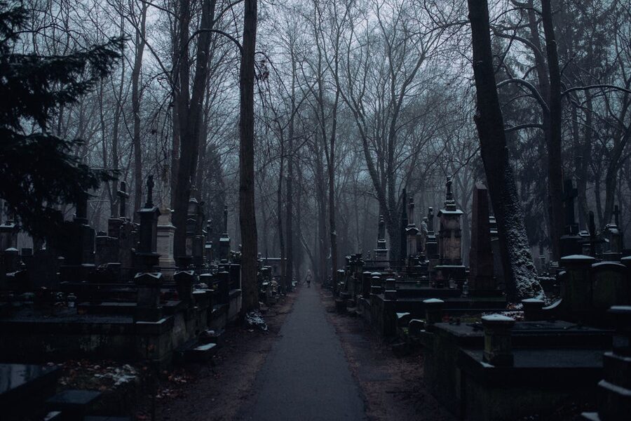 Cemetery path lined with bare trees and gravestones