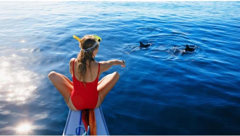 North Coast Dolphins Sunrise Adventure Tour - Why This Tour Offers Great Value
