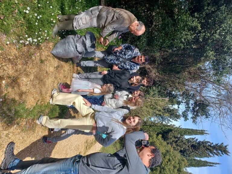 North Corfu: Olive Tour with Olive Oil Tasting and Mezze - The Walk Through Olive Groves