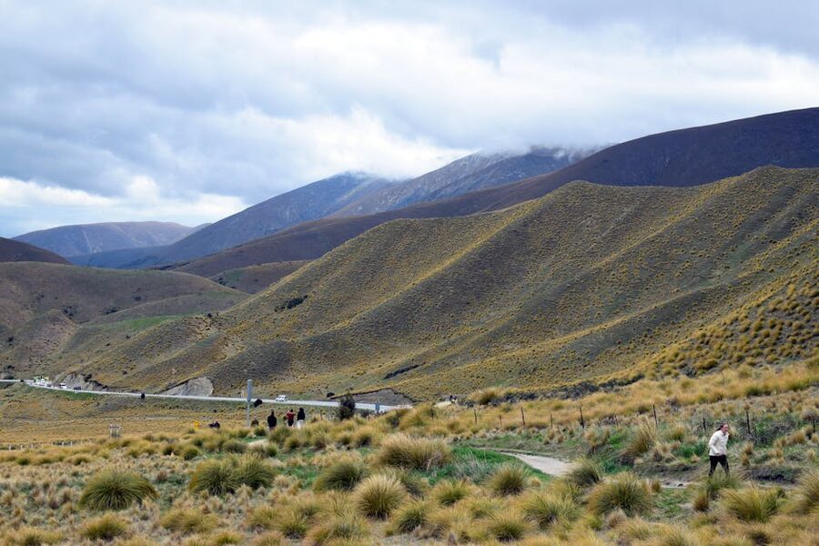 North Island New Zealand rolling hills landscape on a day tour