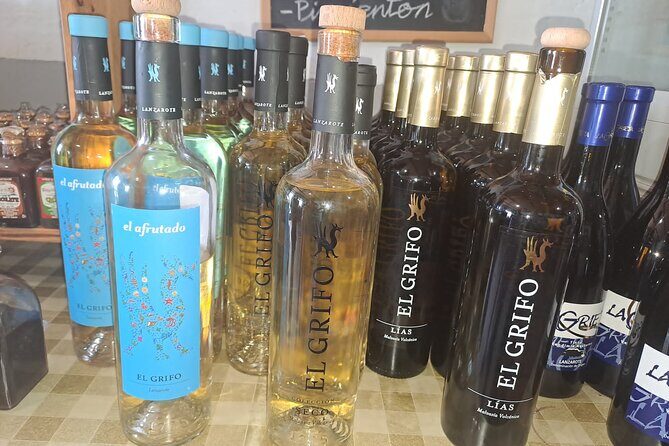 North Tour, Viewpoint, Brunch, White beach & lava pools - Practical Aspects of the Tour