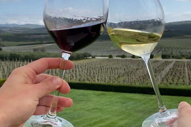 Northern Greece Wine Tasting Tour in Kavala - Final Thoughts: Is This Tour Worth It?