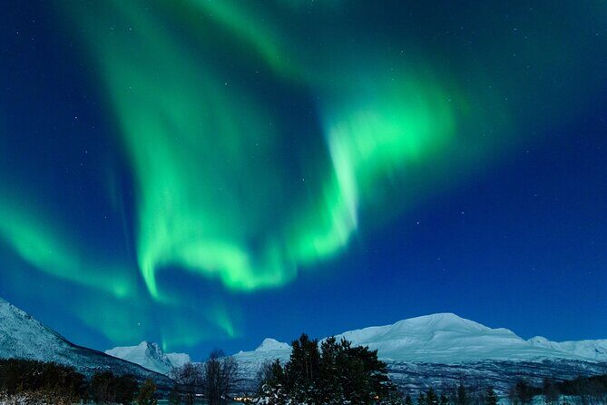 Northern Lights Chase by Bus in Tromso - In-Depth Tour Breakdown: What’s Included and How It Unfolds