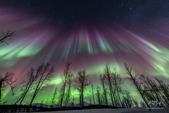 Northern Lights Guided Bus Tour with Free Photos - Potential Drawbacks and Considerations